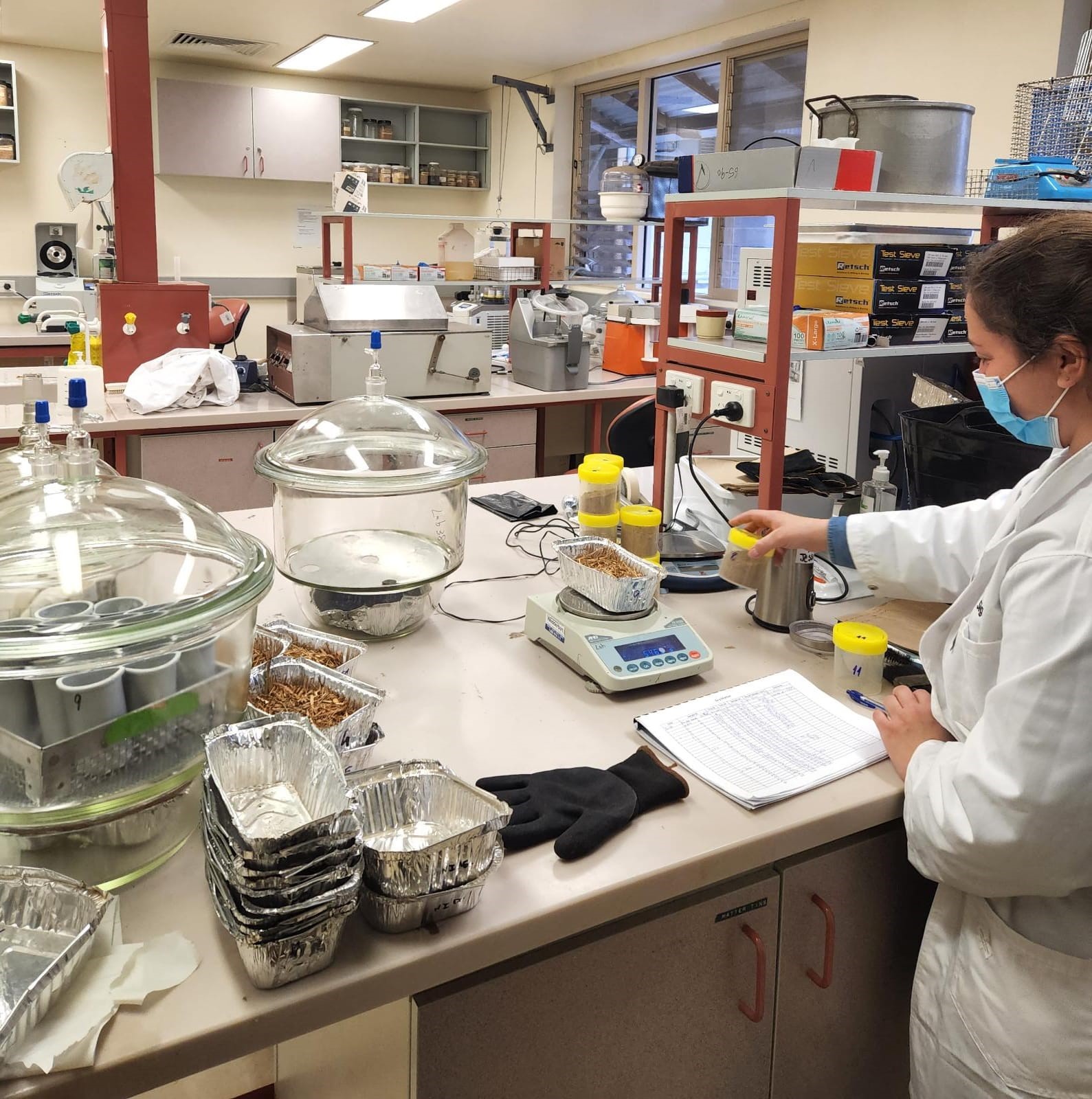 ‘Calfeteria’ trial underway at UNE to determine the tastiest methane ...