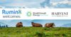 News - Rumin8